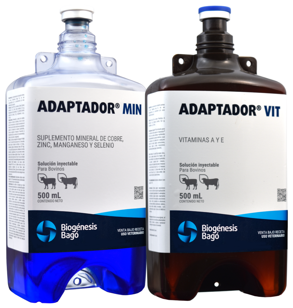 KIT ADAPTADOR MIN/VIT (Período: 9/9 al 16/9 2024 C3 - Preservicio ...